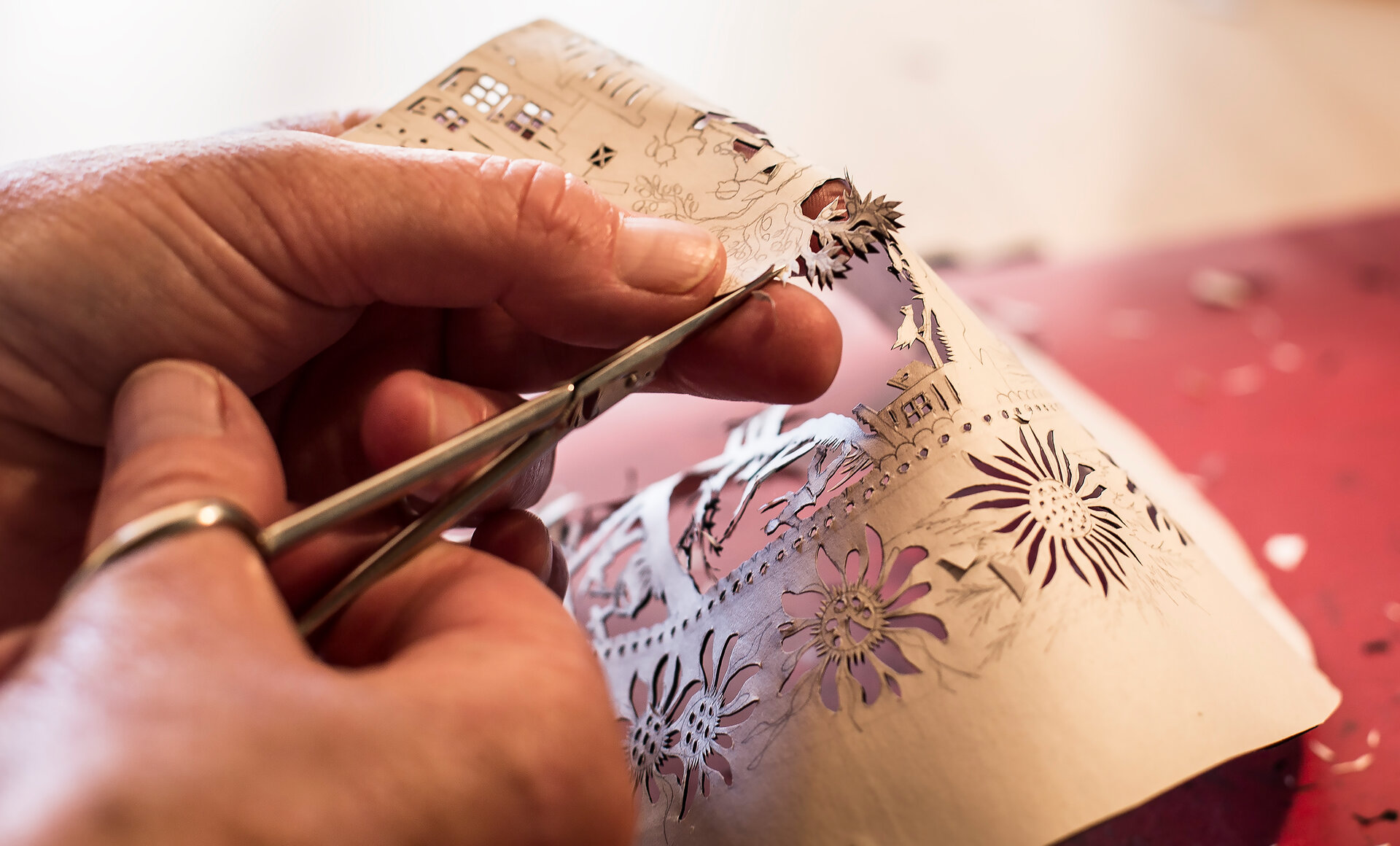 Simmental silhouettes