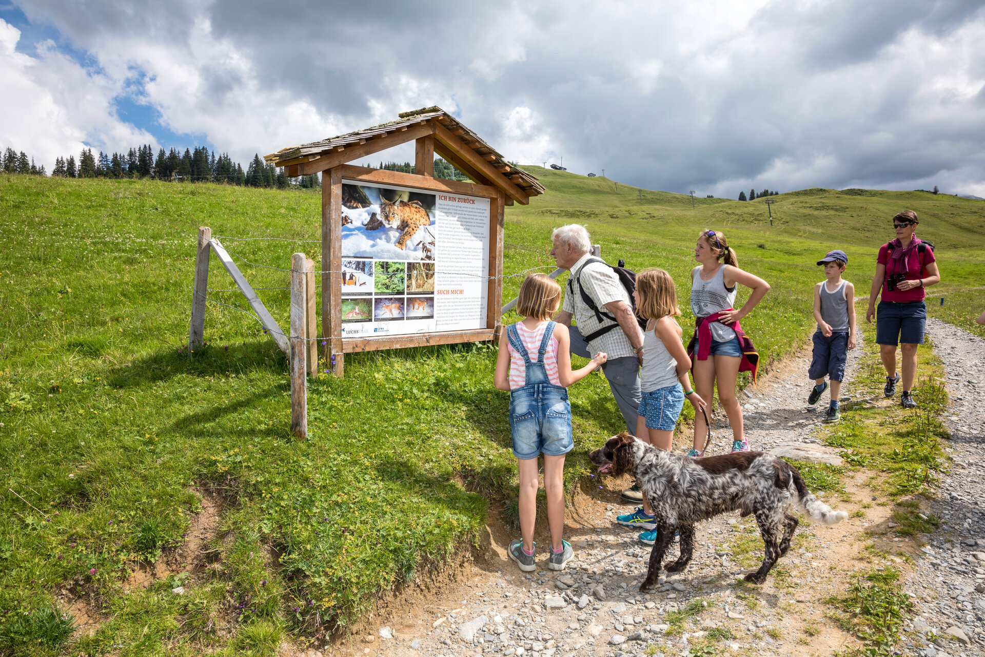 Lynx Trail Betelberg